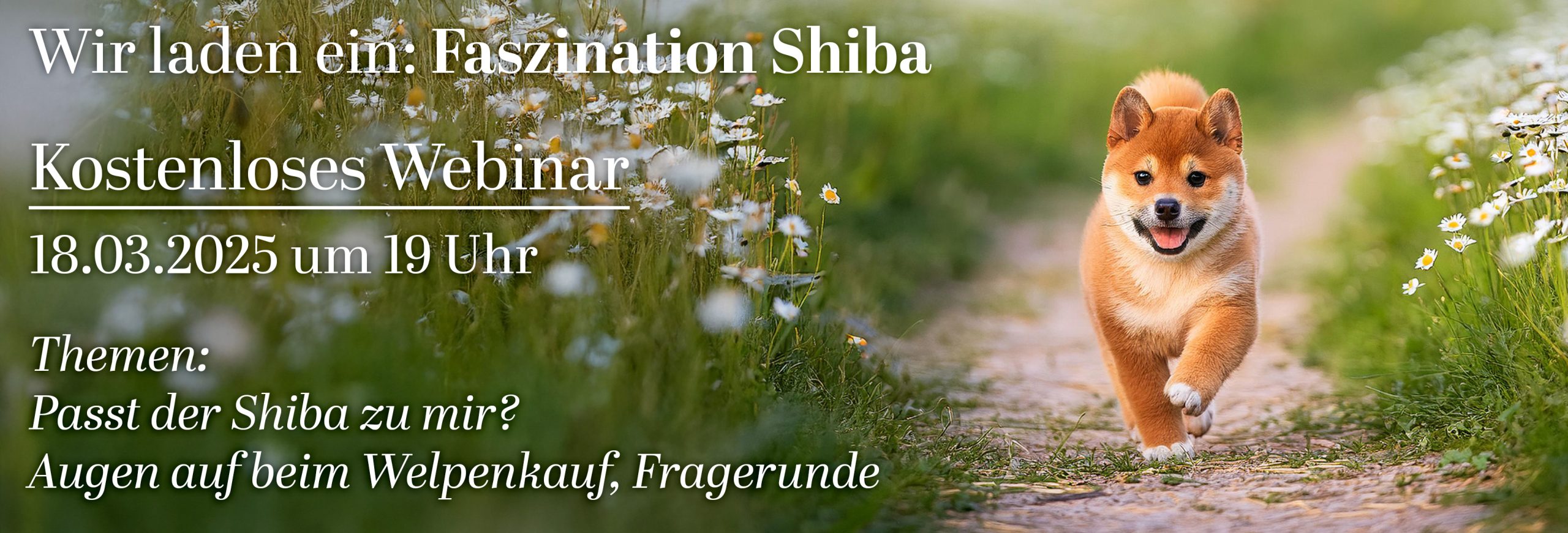 Unsere Züchter - Shiba Club Deutschland e.V.